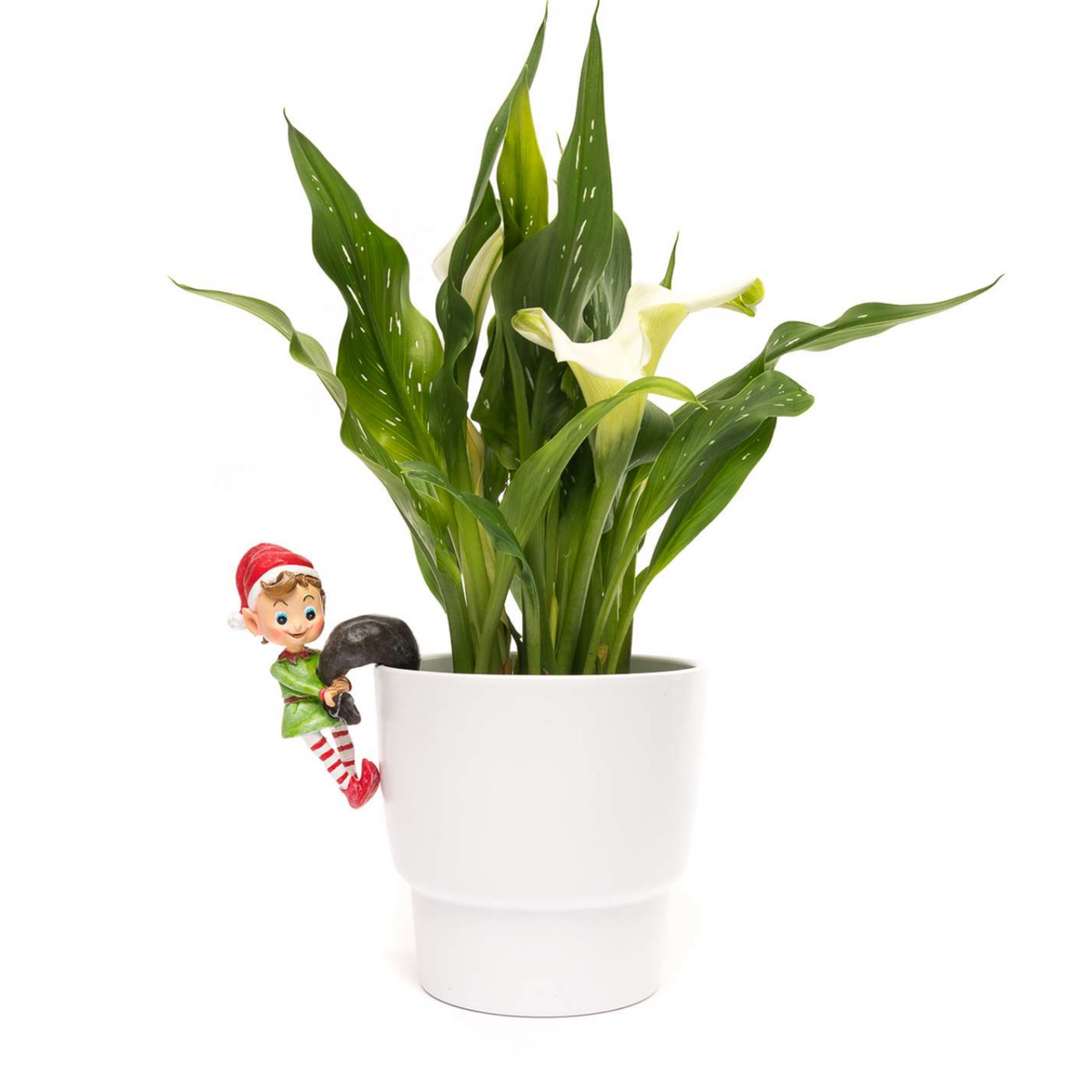 Pot Buddy 'Naughty Christmas Elf' Plant Pot Hanger | Just Gardening ...